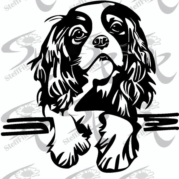 King Charles Cavalier Spaniel Svg - Etsy