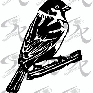 Vector Sparrow Spadler Bird Svg, Bird on Branch Svg, Clip Art, Ducky ...