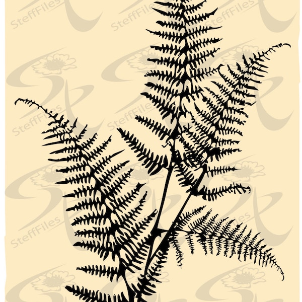 Fern Svg - Etsy