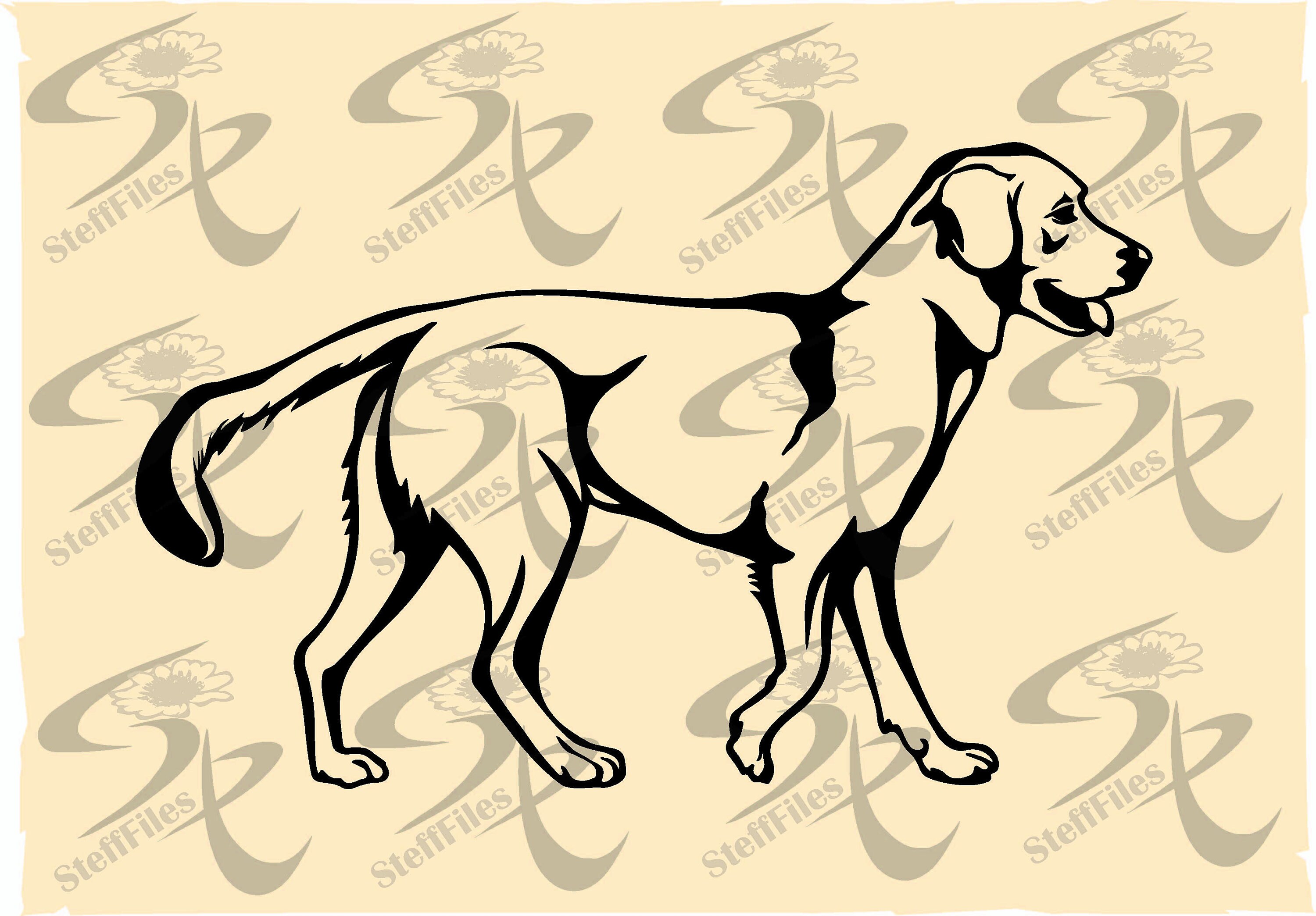 LABRADOR DOG SVG Animal Illustration Svg Dxf Ai Png - Etsy
