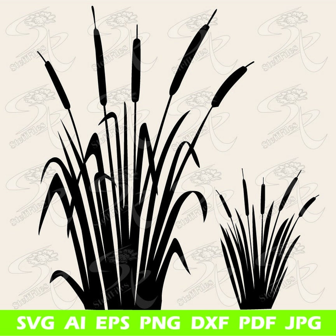 CATTAIL RUSH SVG, Dxf, Ai, Png, Eps, Jpg, Pdf, Silhouette, Download ...