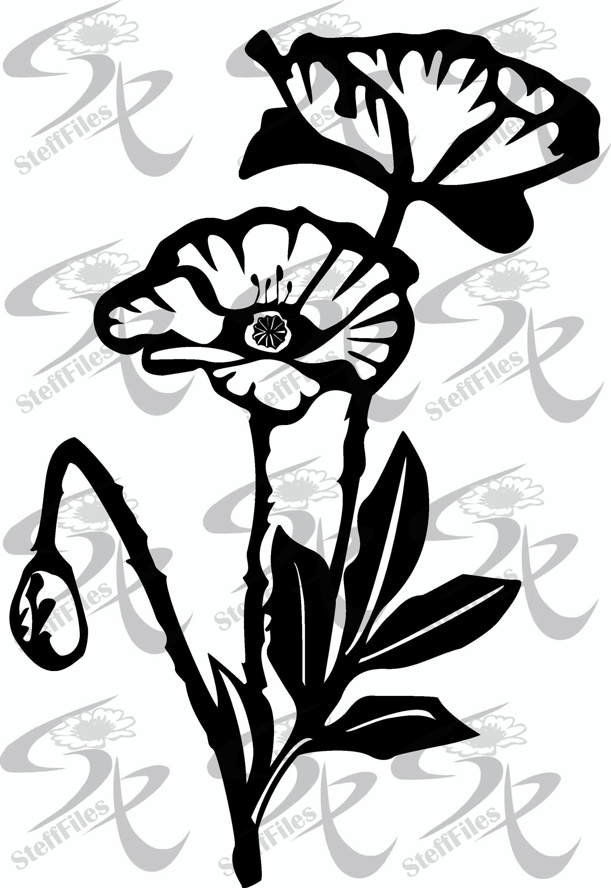 POPPY FLOWERS clipart SVG dxf ai png eps jpg Download | Etsy
