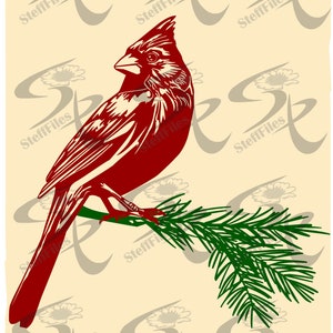 Cardinal Bird Svg 2 Colors Cardinal on Branch Christmas Tree,svg,dxf ...
