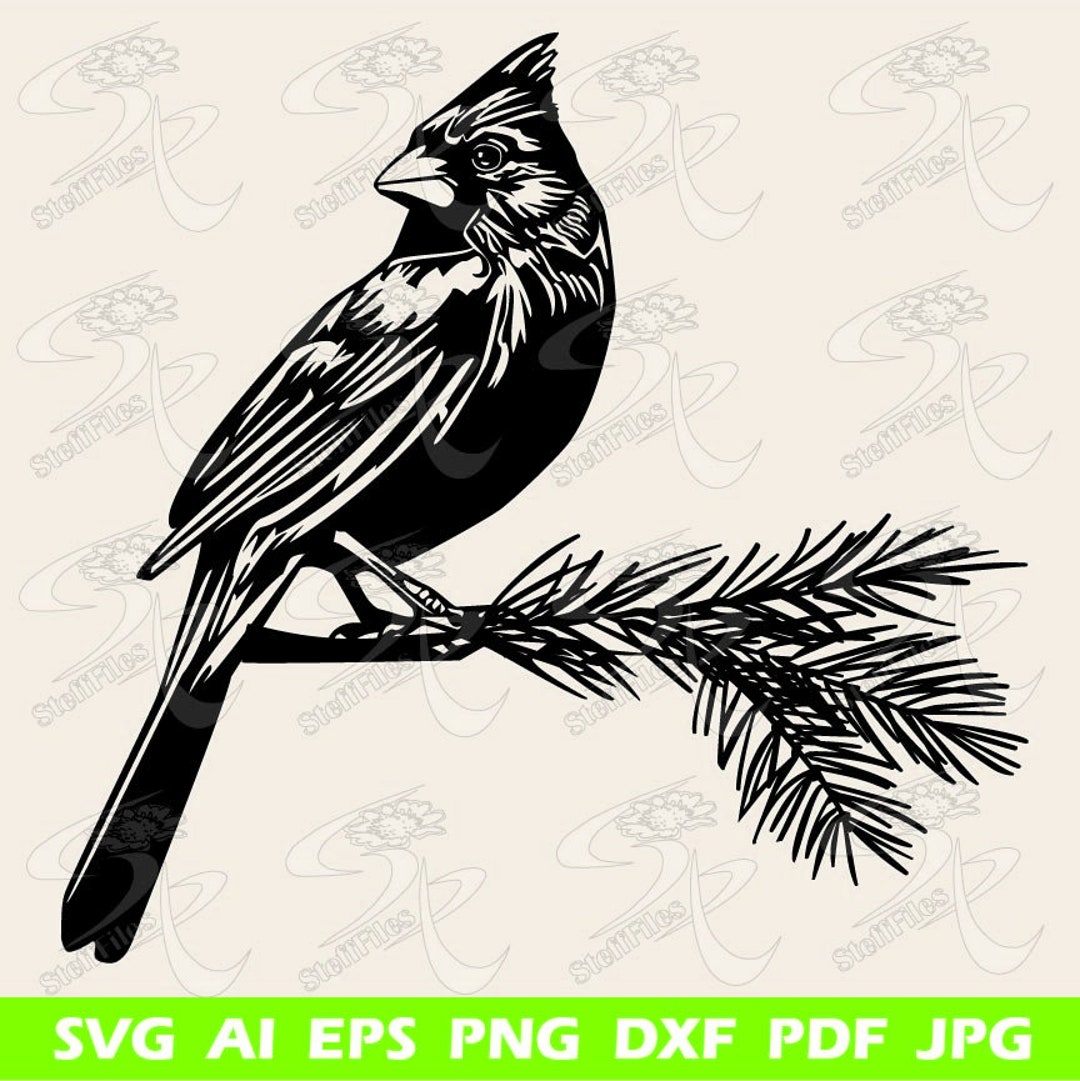Cardinal Bird Svg, Cardinal on Branch SVG, Cardinal on Branch Images ...