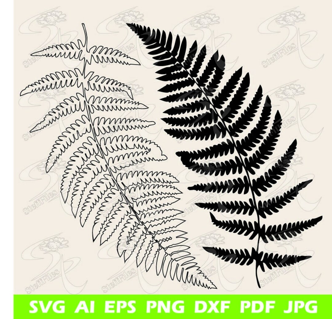 FERN SVG, Fern DXF, Floral Fern Svg, Ai, Png, Eps, Jpg, Pdf, Download ...