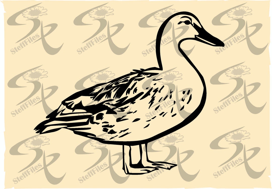 ENTE SVG DXF Ente Vogel Gans, ai, png, eps, jpg Silhouette, Download ...