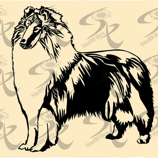 Rough Collie Silhouette Svg - Etsy