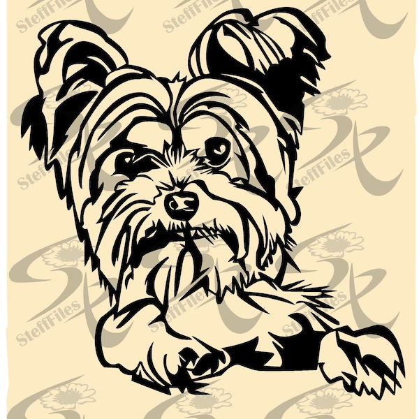 Yorkie Svg - Etsy