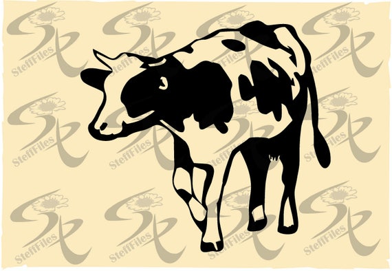 COW Svg Calf Svgheifer Dxf AI PNG Svg Dxf Eps Jpg - Etsy