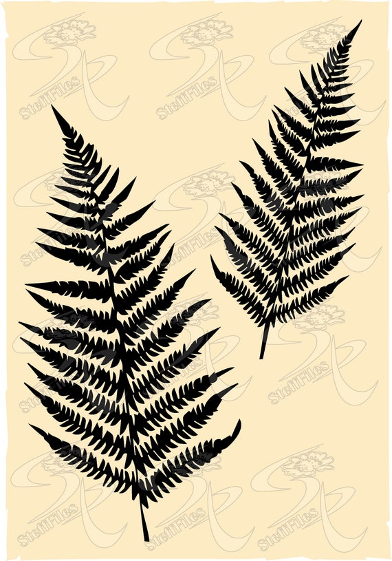 Hawaiian Fern Silhouette