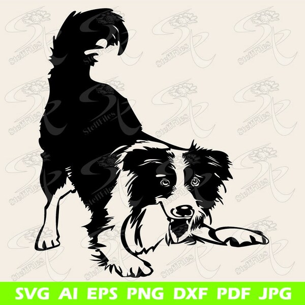 Border Collie Svg - Etsy
