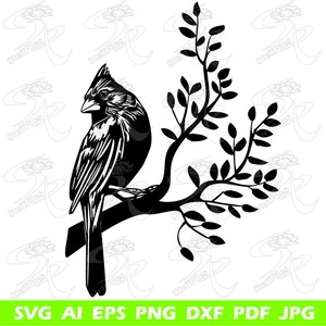 Cardinal Bird Svg, Cardinal on Branch SVG, DXF, Ai, Png, Eps, Jpg, Pdf ...