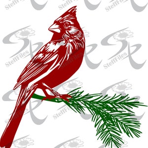 Cardinal Bird Svg 2 Colors Cardinal on Branch Christmas Tree,svg,dxf ...