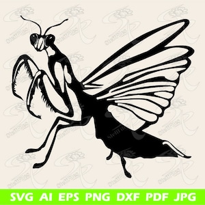 MANTIS RELIGIOSA ,SVG, clipart, dxf,ai, png, eps, jpg,Silueta,Descargar ...