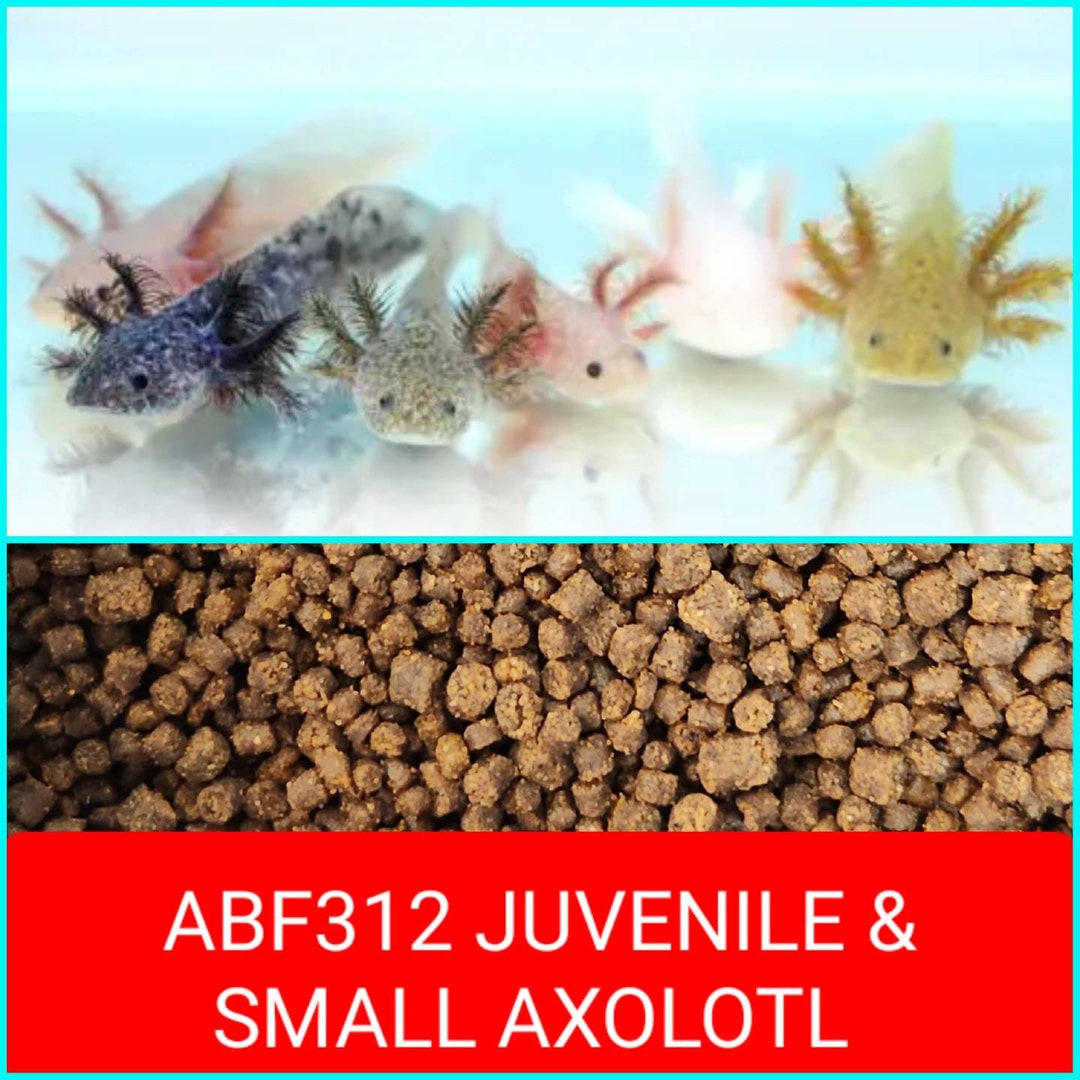ABF312 Juvenile,small Axolotl Food Mix,soft Bits 2.4, 3.2, Krill 2.0mm ...