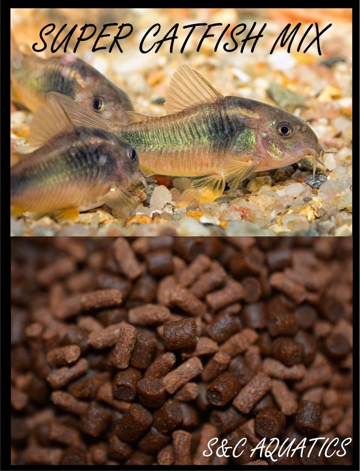 Super Catfish Shrimp & Krill Mix All Fresh ABF57 Heat | Etsy