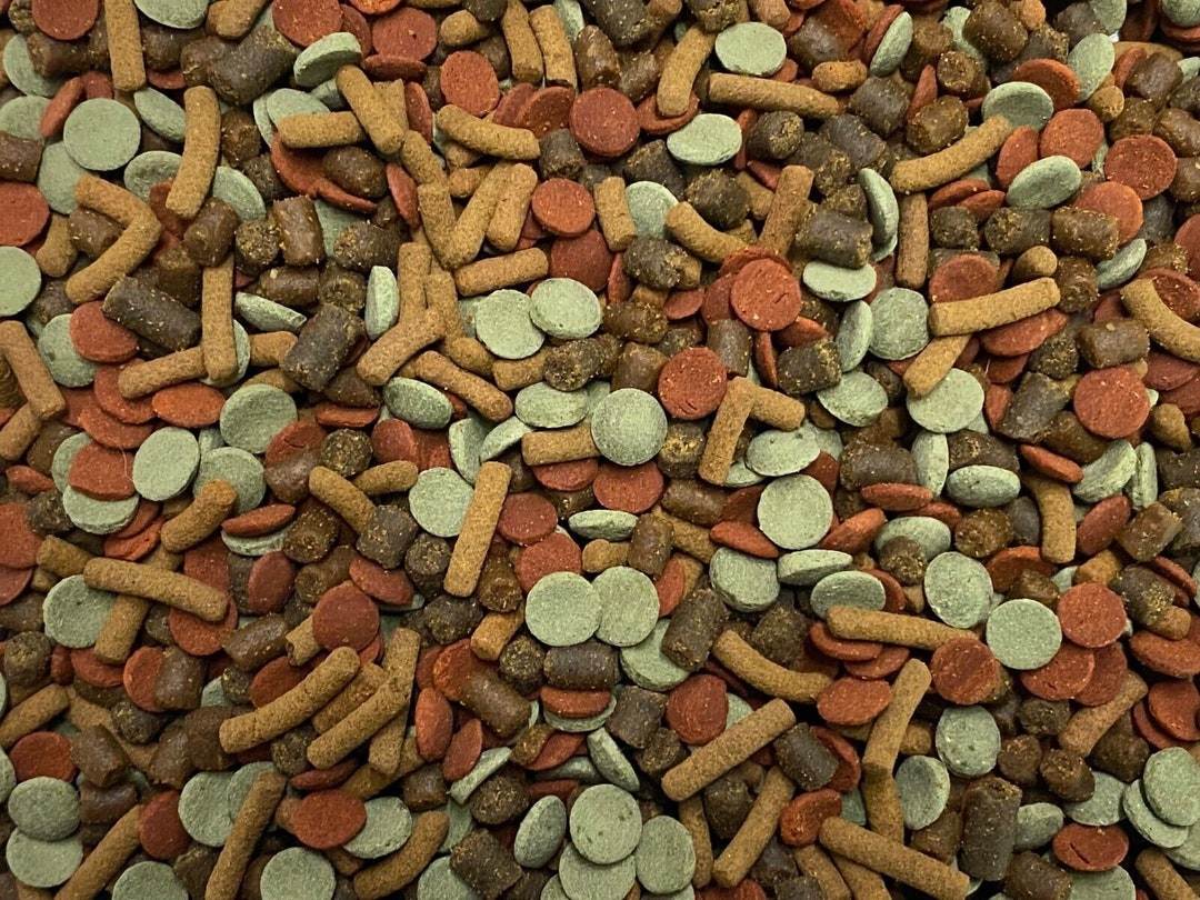 ABF Super Catfish Mix With Soft Bits, Krill, Spirulina, Cory Cats ...