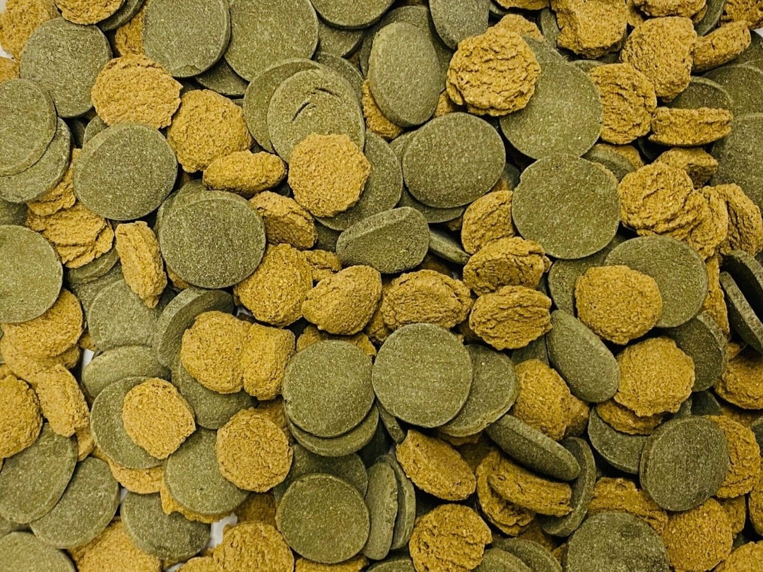 ABF Super Wafer Mix, Snails, Pleco, Catfish, Krill, Kelp, Spirulina ...
