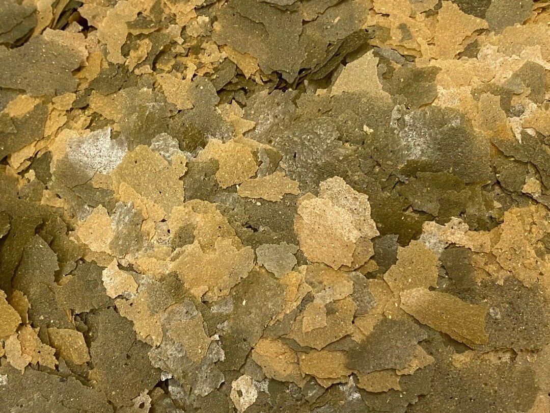 ABF Ultra Premium Black Soldier Fly 4% & Spirulina Small Flake Mix ...