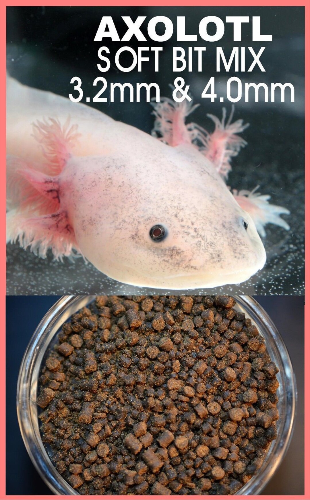 ABF Gourmet Axolotl Soft Food Pellet MIX 3.2mm & 4.0mm - Abf6-heat ...
