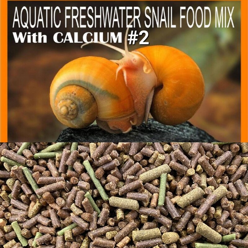 AQUATICBLENDEDFOODS - Etsy