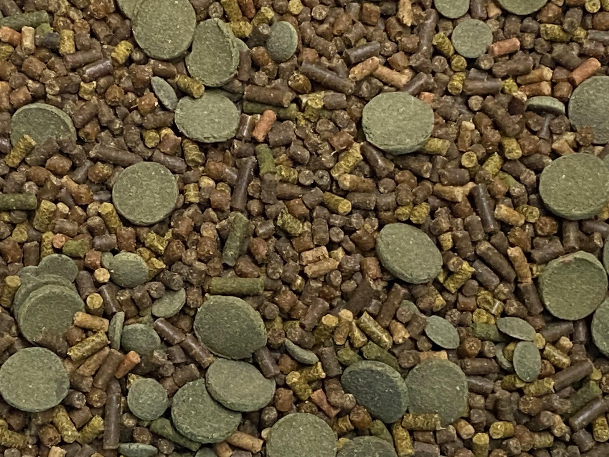 Heat Sealed Freshness ABF Gourmet Axolotl Soft Food Pellets 3.2mm (1 LB ...