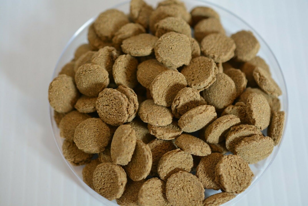 ABF Mini Shrimp & Krill Wafers Pleco ABF170 Heat Sealed - Etsy