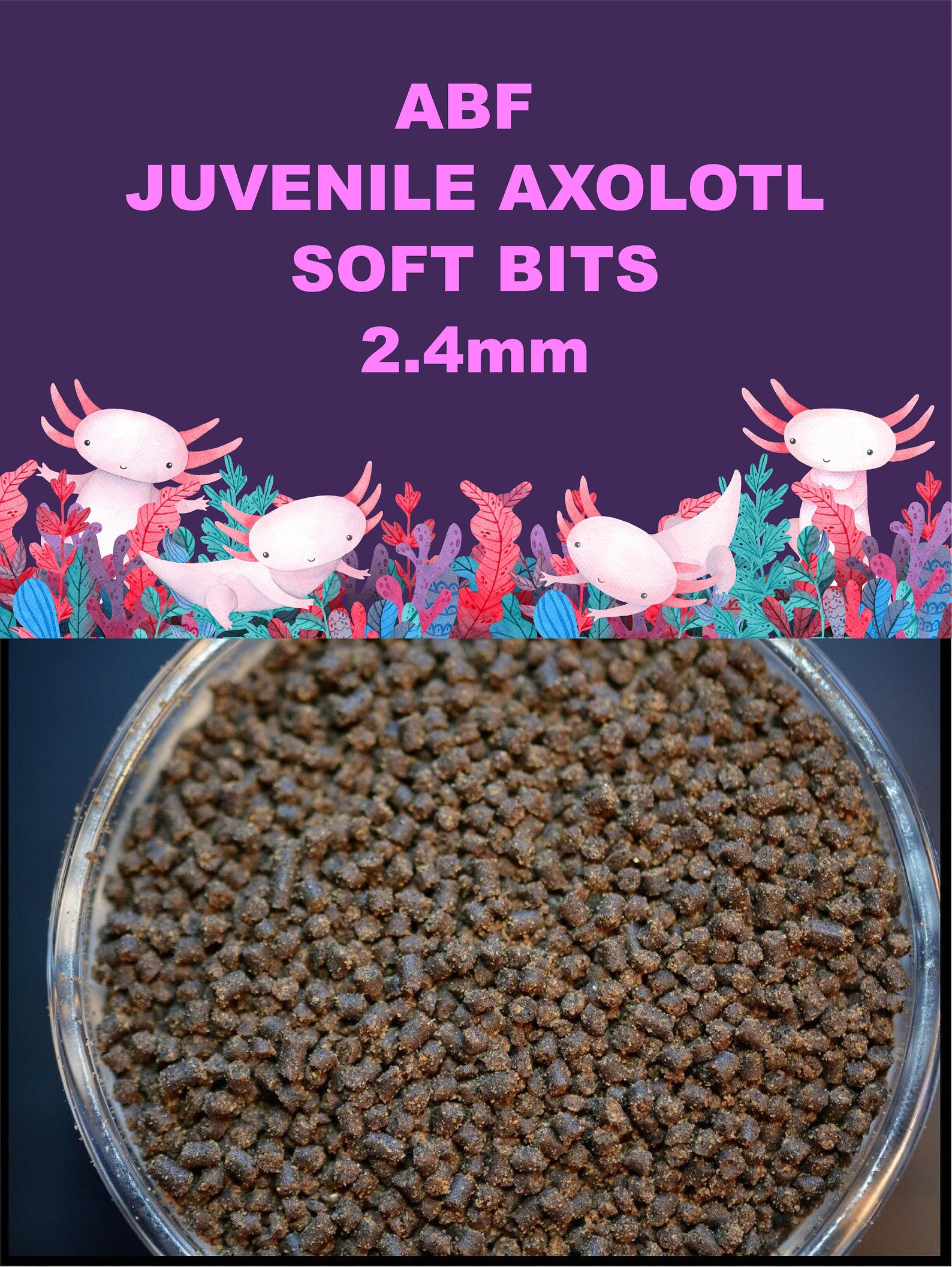ABF Juvenile Axolotl Soft Food Pellets 2.4mm Salamander | Etsy
