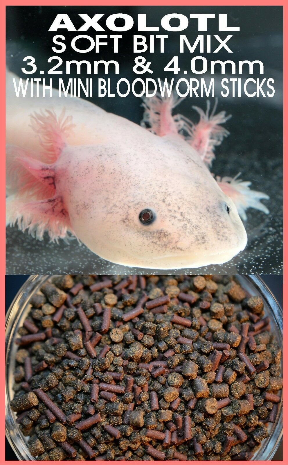 ABF Gourmet Axolotl Food MIX 3.2mm & 4.0mm Soft Bits,bloodworm Mini ...