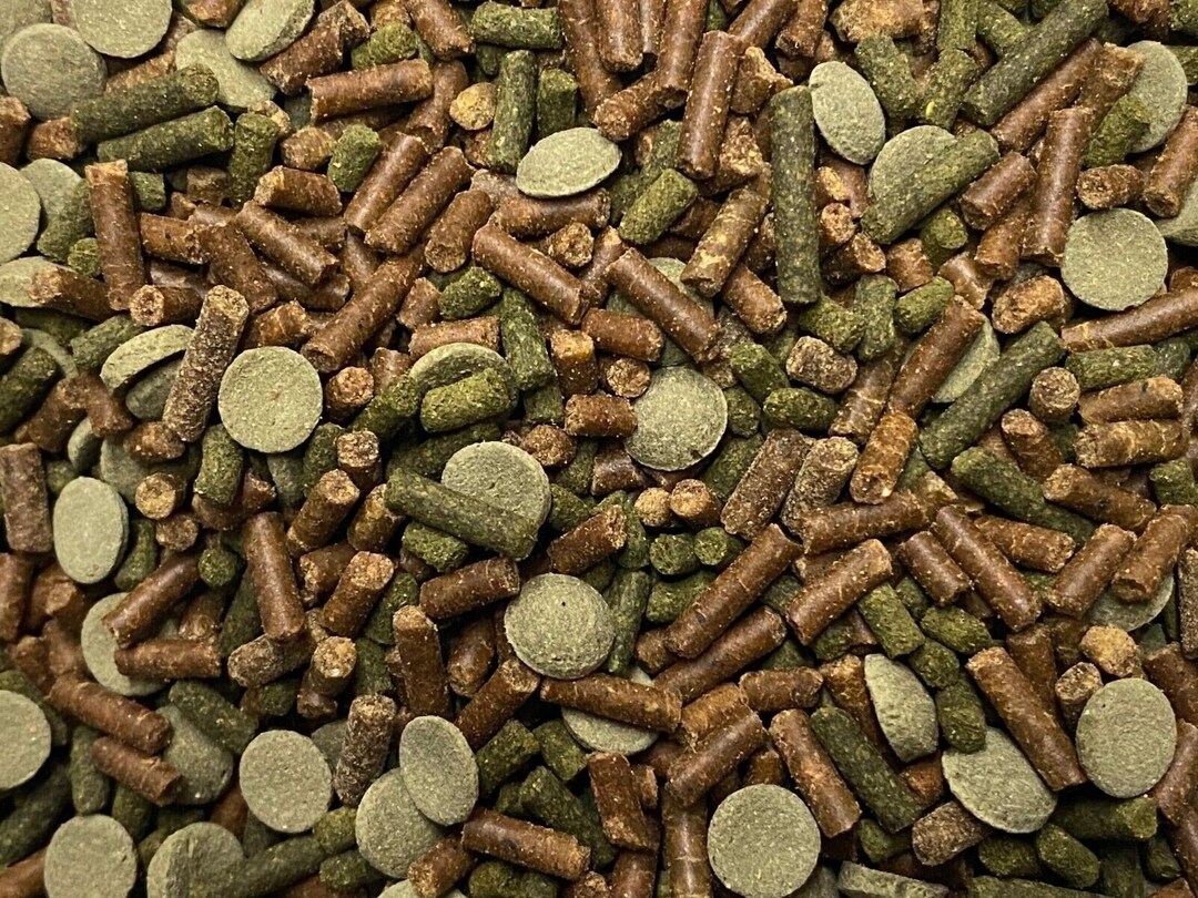 Aquatic Snail Food Mix With CALCIUM, Shrimp, Crayfish, Snails, Fish ...
