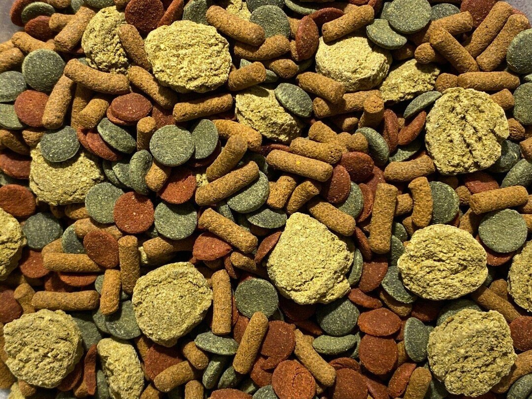 ABF Ultra Cory Catfish Mix With Wafers & Sticks , Krill, Veggie ...