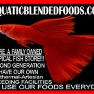 ABF Ultra Multi Worm, Bloodworm & Krill Flake Fish Food Mix, Angelfish ...