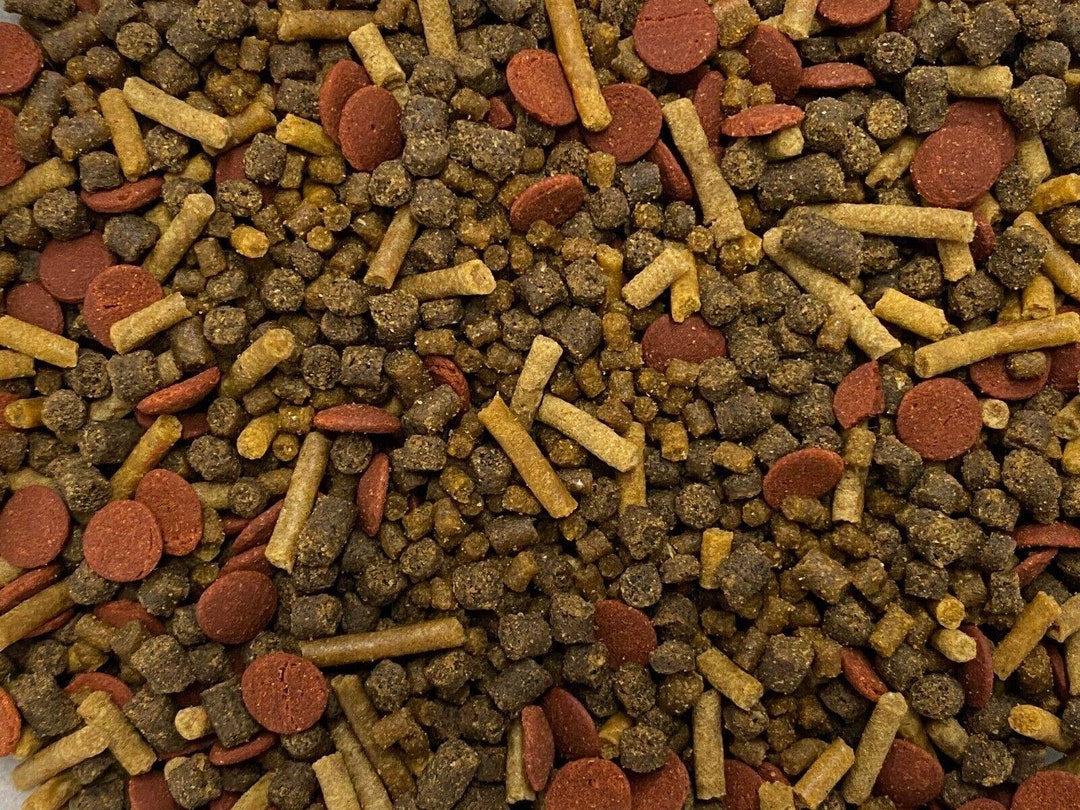 ABF Super Catfish Mix With Soft Bits , Krill, Spirulina, Cory Cats ...