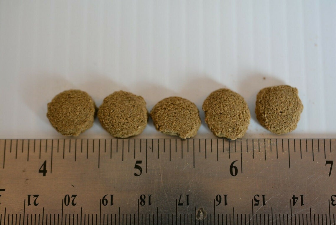 ABF Mini Shrimp & Krill Wafers Pleco ABF170 Heat Sealed - Etsy