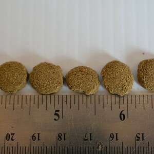 ABF Mini Shrimp & Krill Wafers Pleco ABF170 Heat Sealed - Etsy