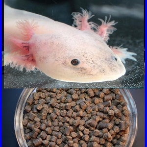 ABF Gourmet Axolotl Soft Food Pellets 4.0mm ABF5 Heat Sealed for ...