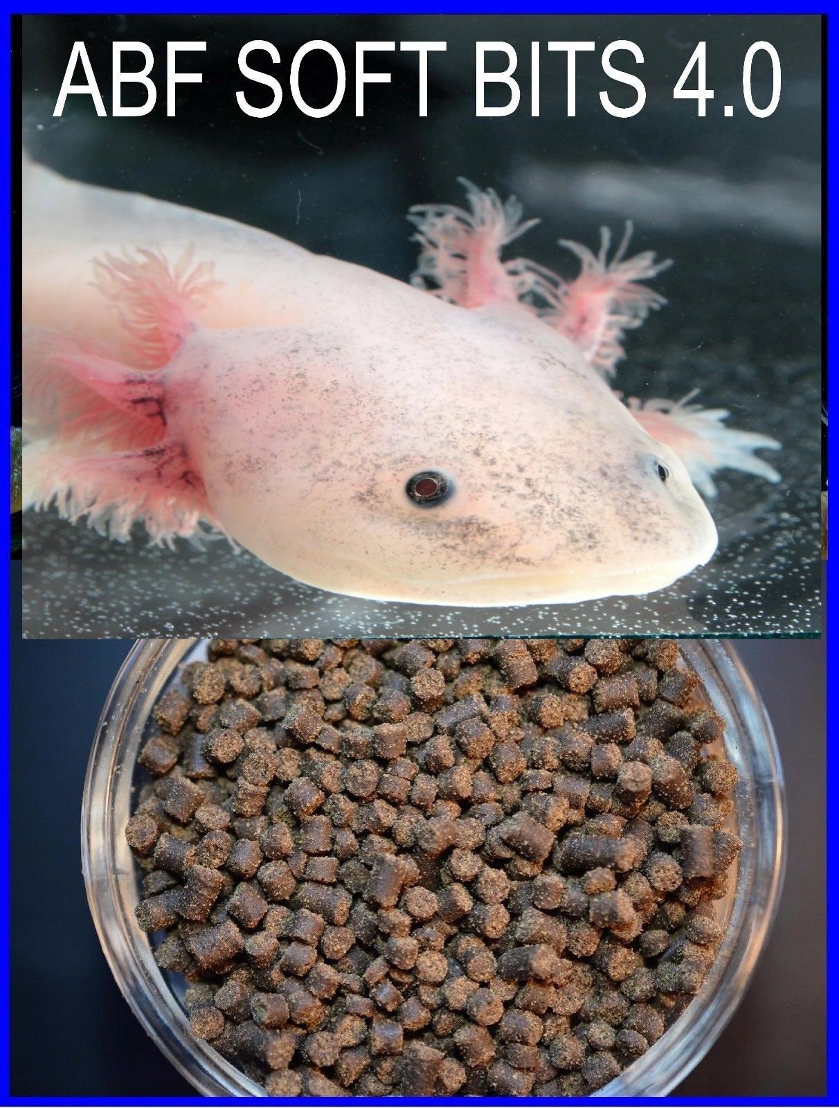 ABF Gourmet Axolotl Soft Food Pellets 4.0mm ABF5 Heat - Etsy