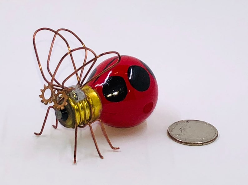 Ladybug on Legs Sitting Ladybugs Screen Bug Ladybird - Etsy