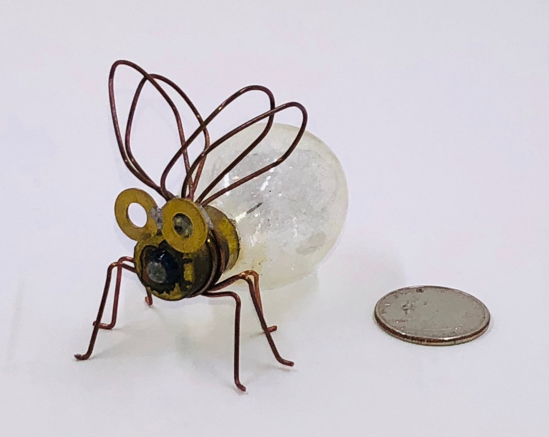 My Flash Bug! - Sitting- Camera - Flashbulb - Screen Bug - Lighting Bug ...