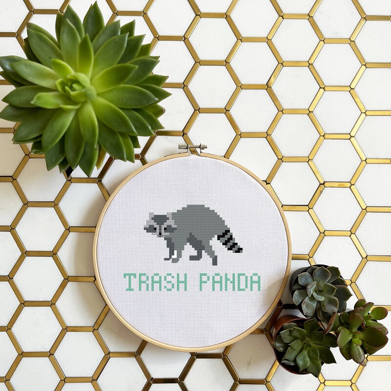 Raccoon Cross Stitch - Etsy