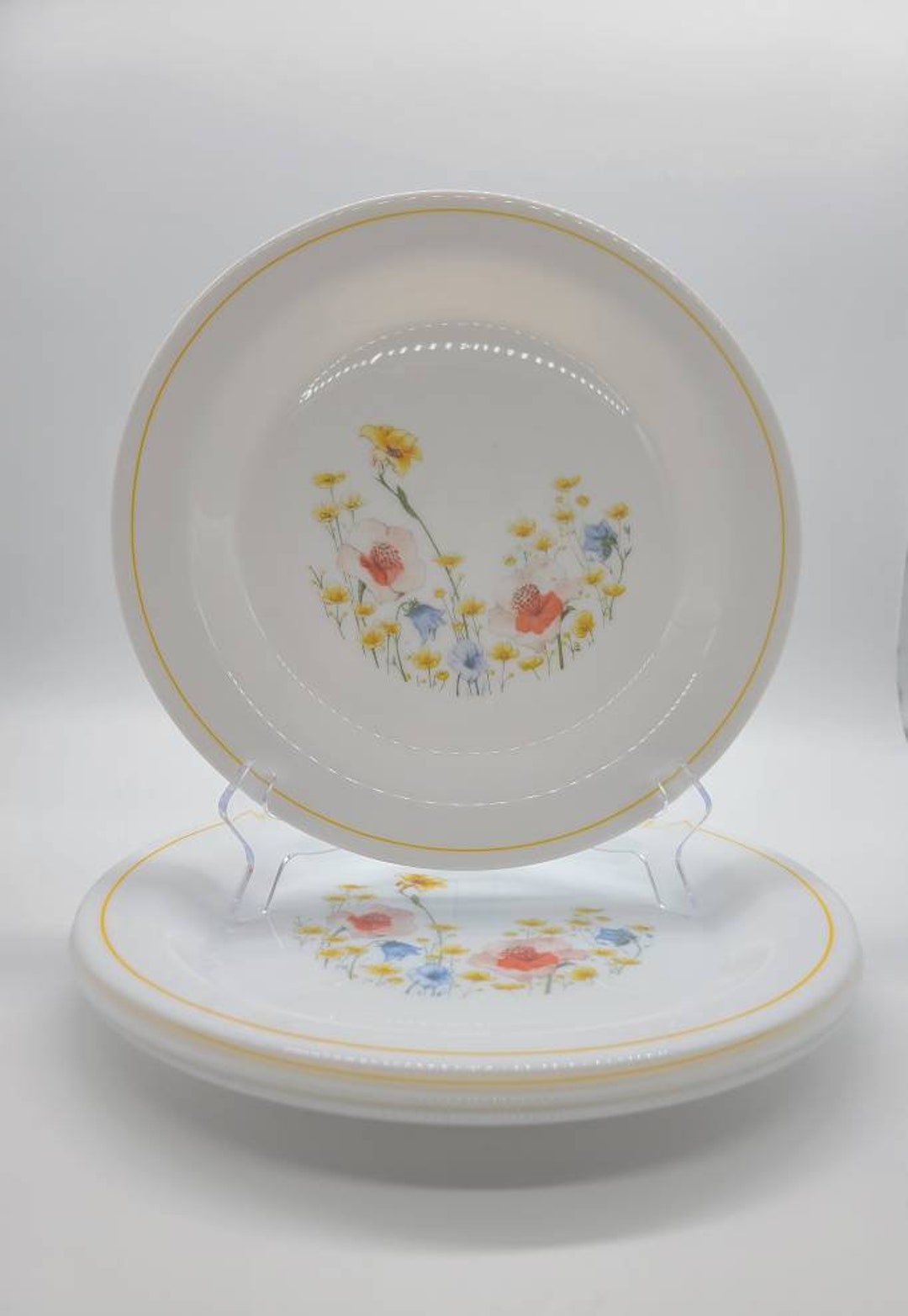 Vintage Arcopal Arc Summer Meadow Dinner Plates in Made in - Etsy