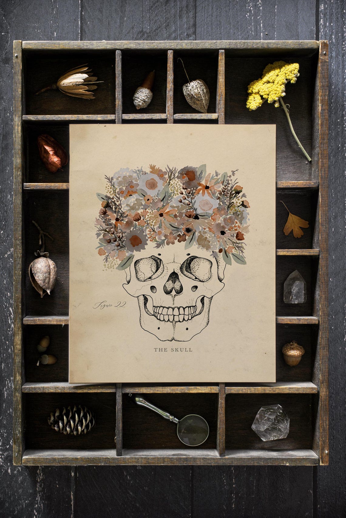 Moody Skull With Flower Crown | Elegant Halloween Decor | Vintage ...