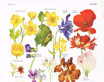 French Botanical Printable - Etsy