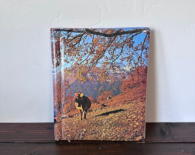 Vintage Photo Album, 70's Cow Photo Album - Etsy