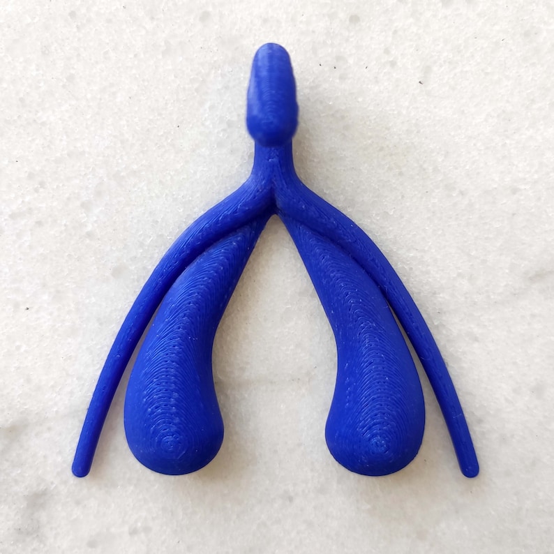 Clitoris Life Size Model Etsy