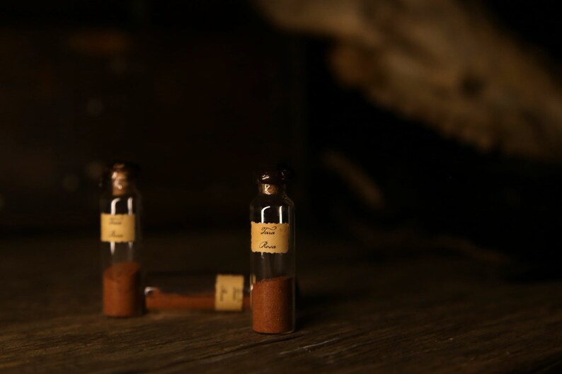 TERRA ROSA (real) Potions Alchemy Ingredients Glass Vials With Corks ...