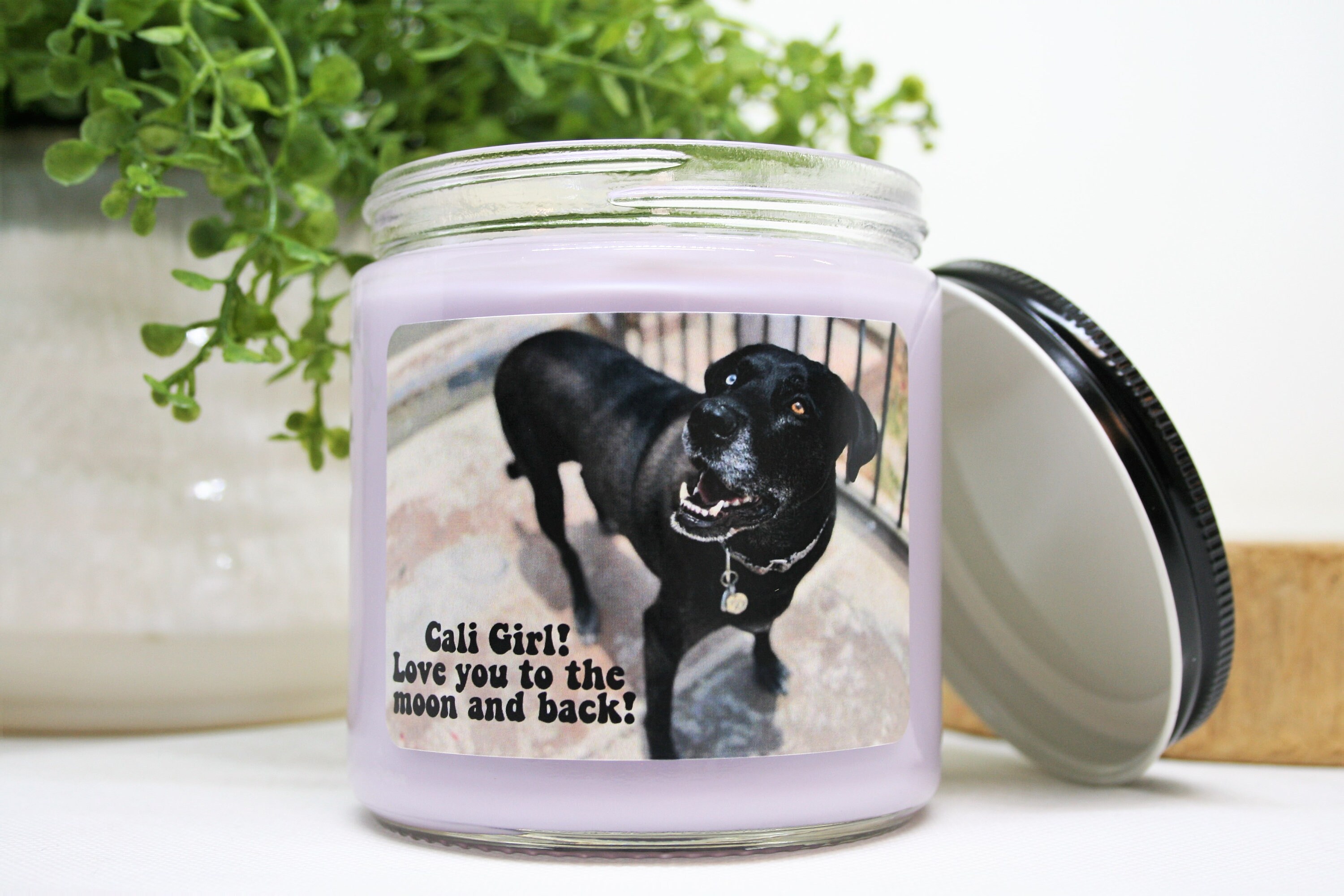 Pet Photo Candle, Custom Photo Candle, Picture Candle, Add Your Pet's ...