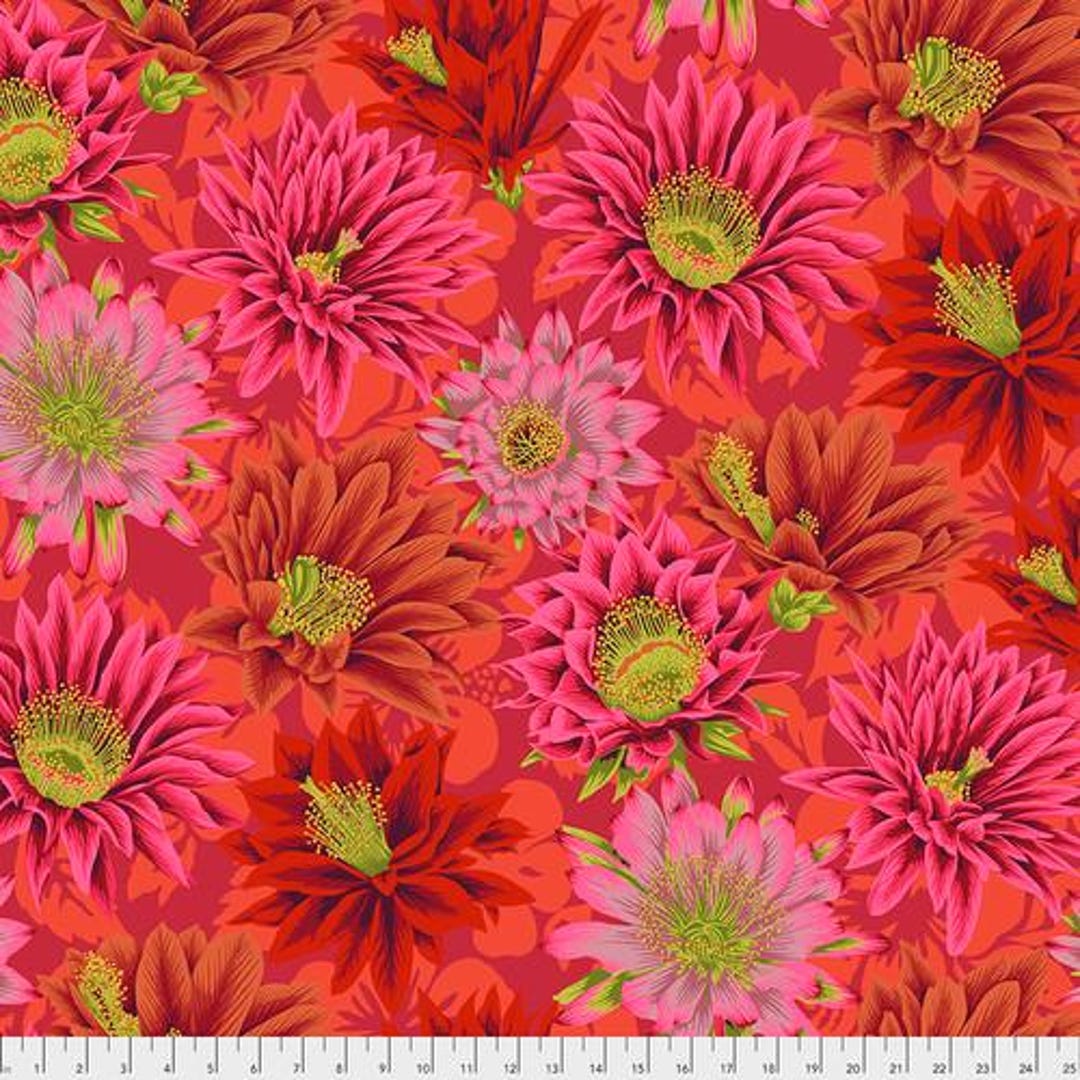 FABRIC: Cactus Flower RED by Philip Jacobs for the Kaffe Fassett ...
