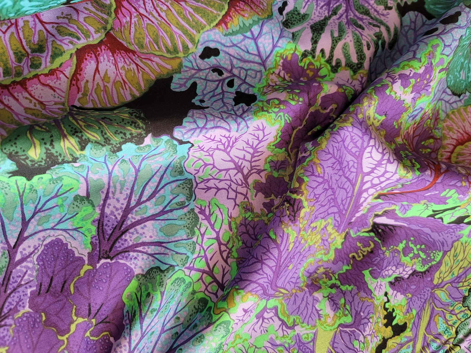 FABRIC: Curly Kale DARK by Philip Jacobs for the Kaffe Fassett ...