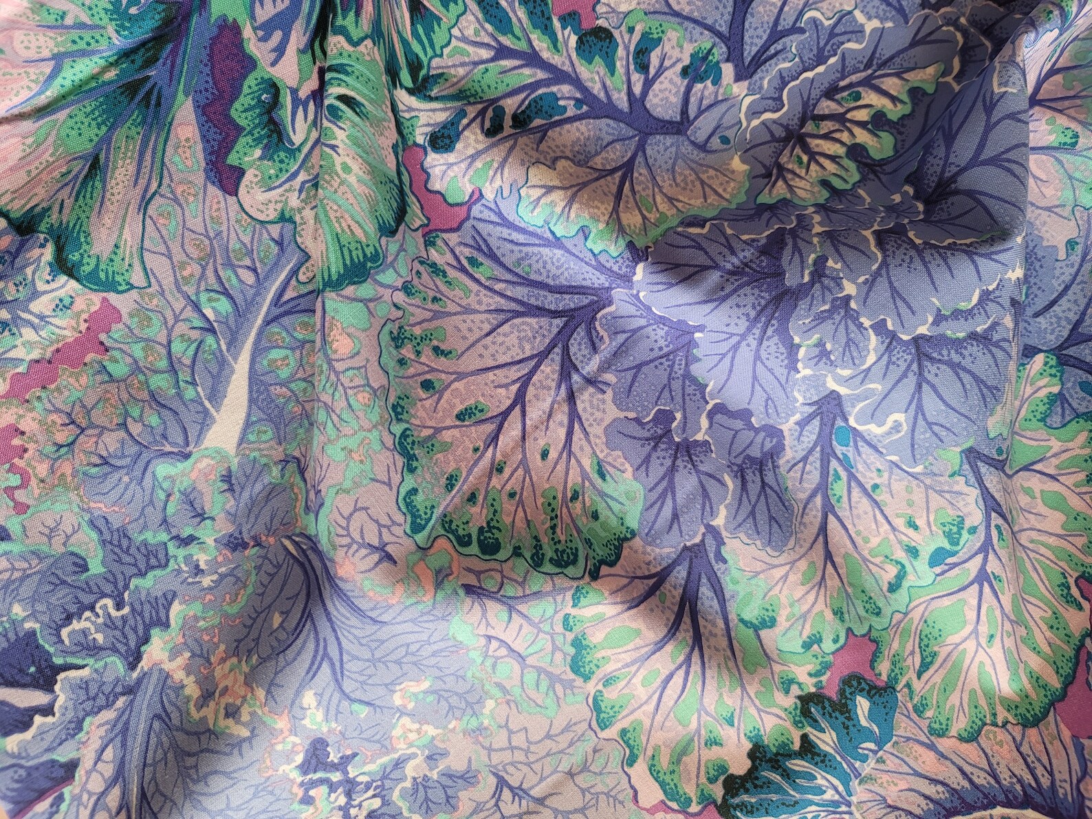 FABRIC: Curly Kale BLUE by Philip Jacobs for the Kaffe Fassett ...